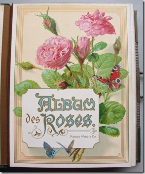 Strangers in a Box: Samuel Smith & Maria Isabel Stephenson of Ballymena ...